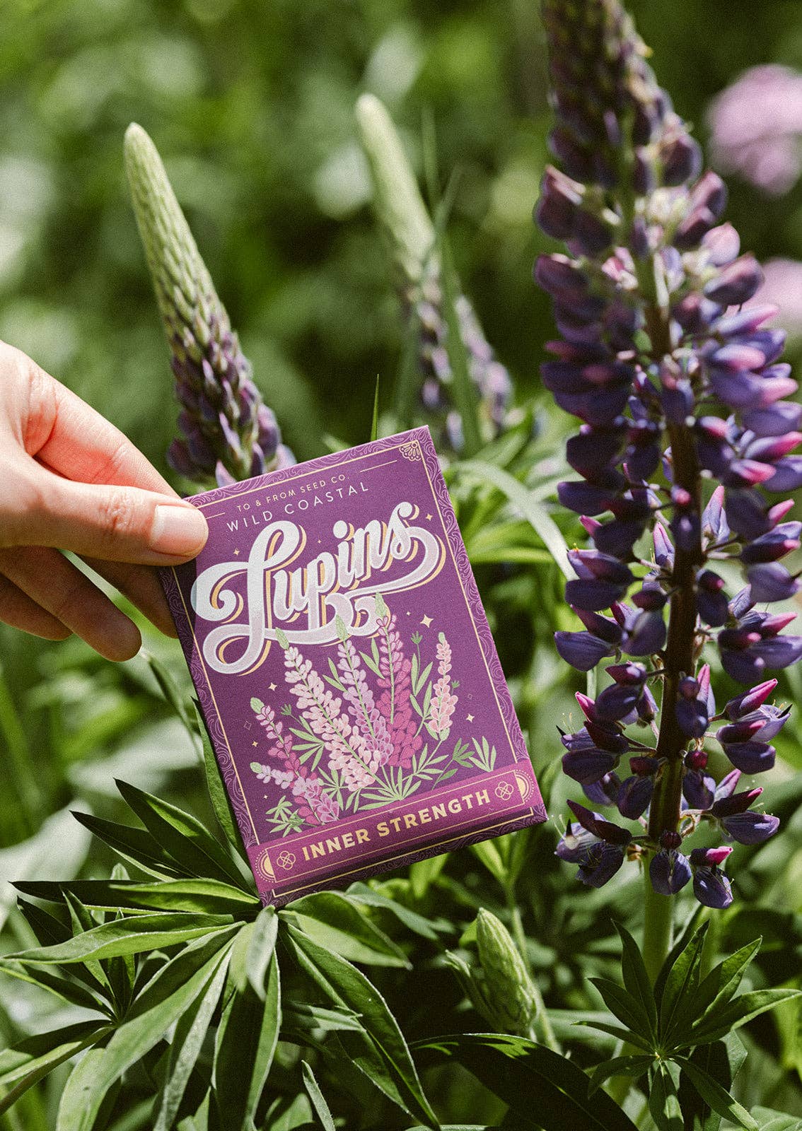 Lupins (Inner Strength) - Floriography Seed Packet – Purely Wicked ...
